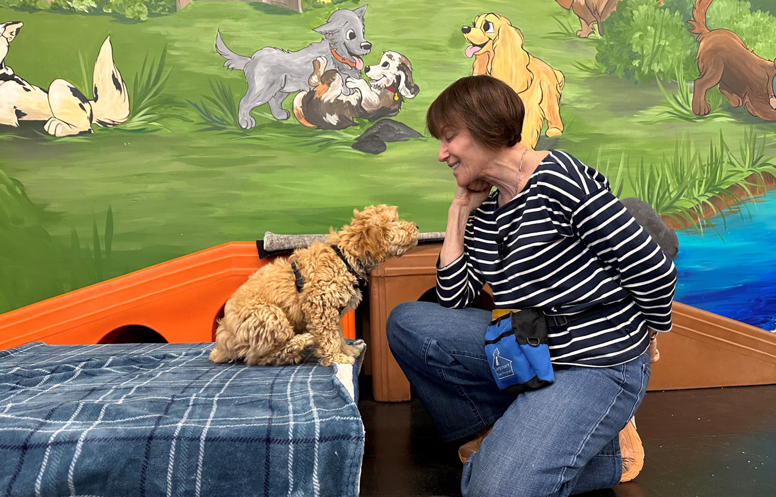 The Talk. A Primer on Potty Training - Hillary's Hound House